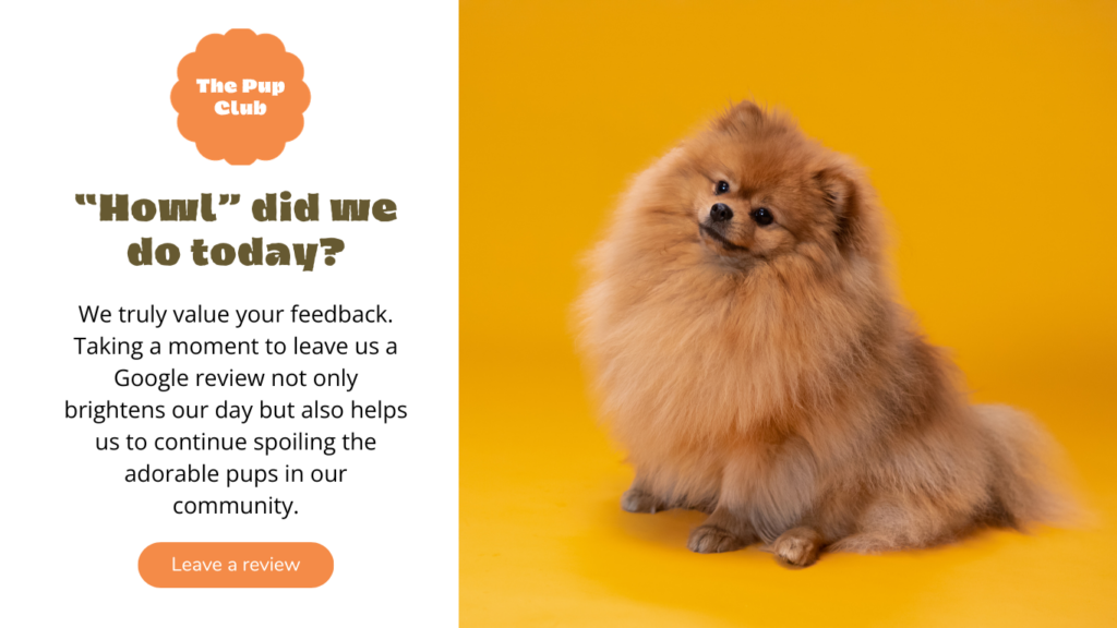 Best Tactics for Asking for Reviews on Google - Broadly